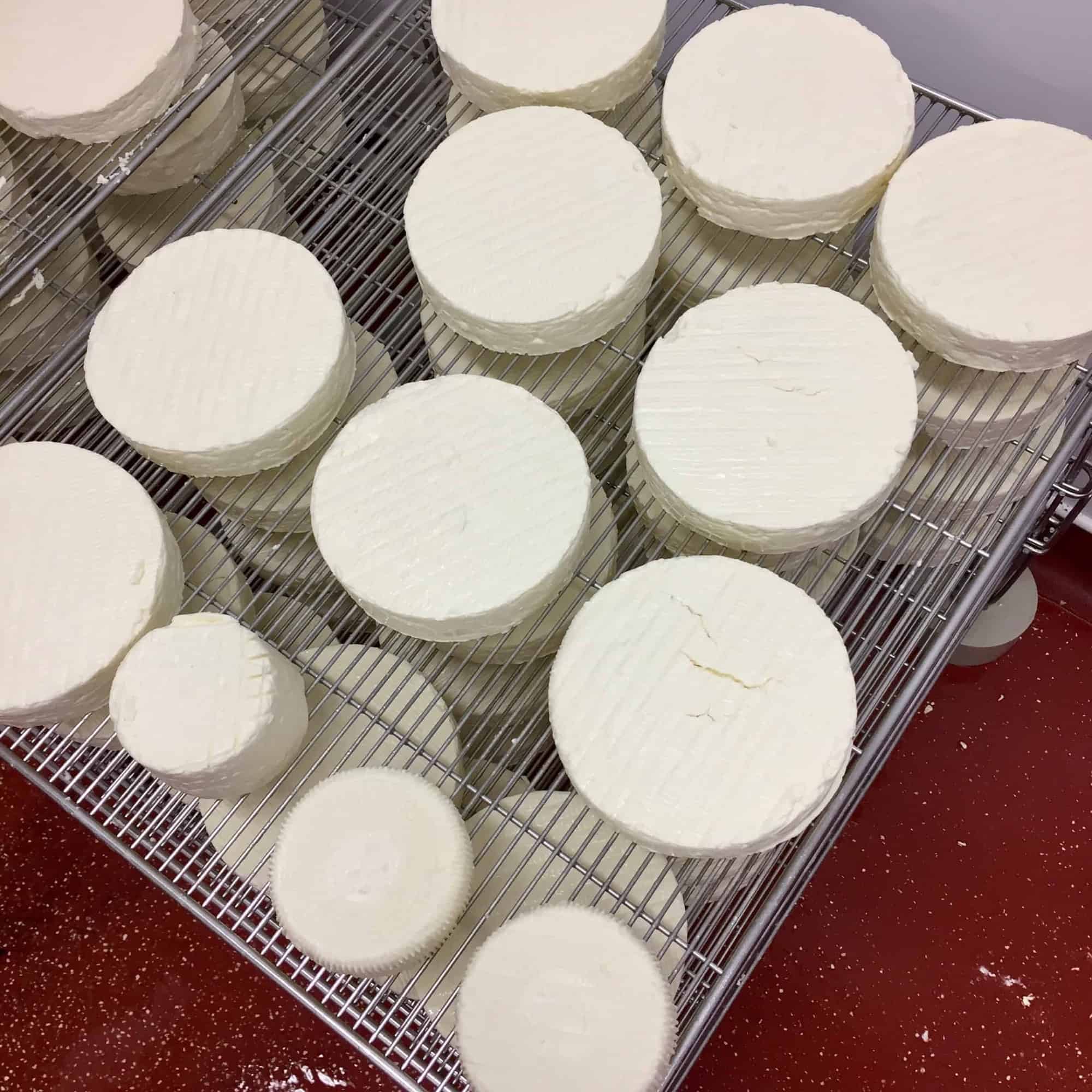 Sharpham’s Brie • C H E W I N G T H E F A T