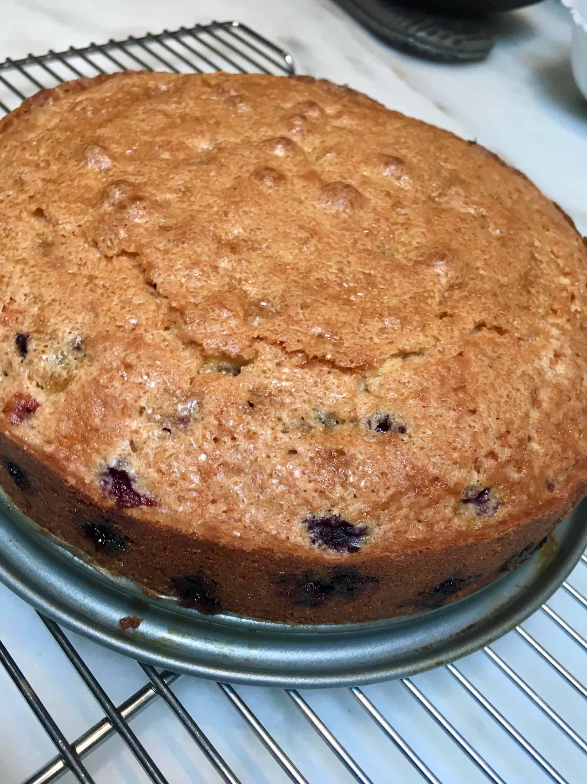 Blueberry-Muffin Cake from Fine Cooking