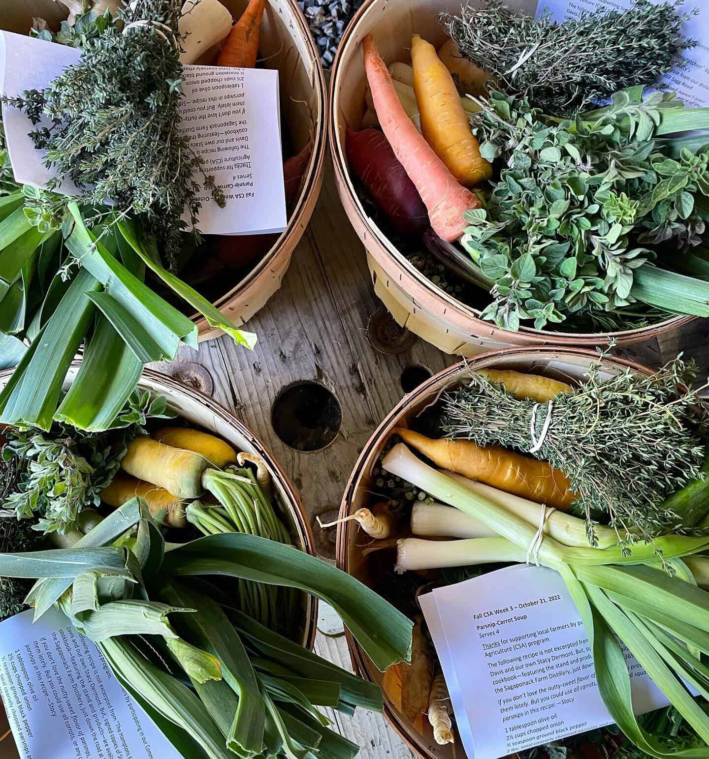 Wild Mushroom and Leek Tart